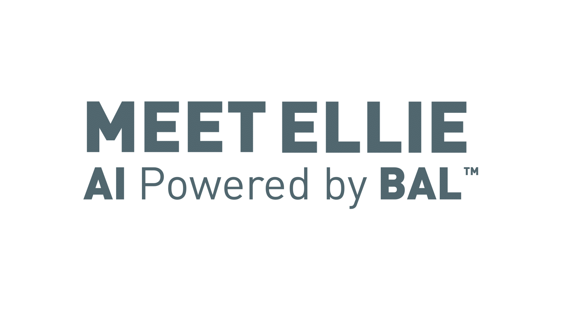 Immigration Chatbot | BAL Immigration Law