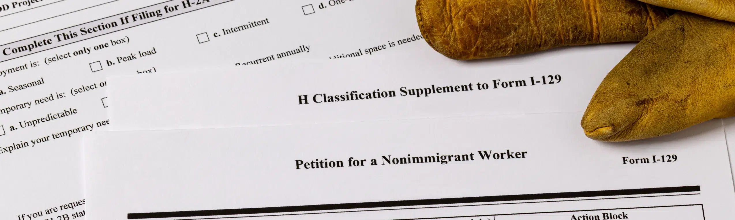 United States | USCIS issues guidance on H-2A eligibility for dairy ...