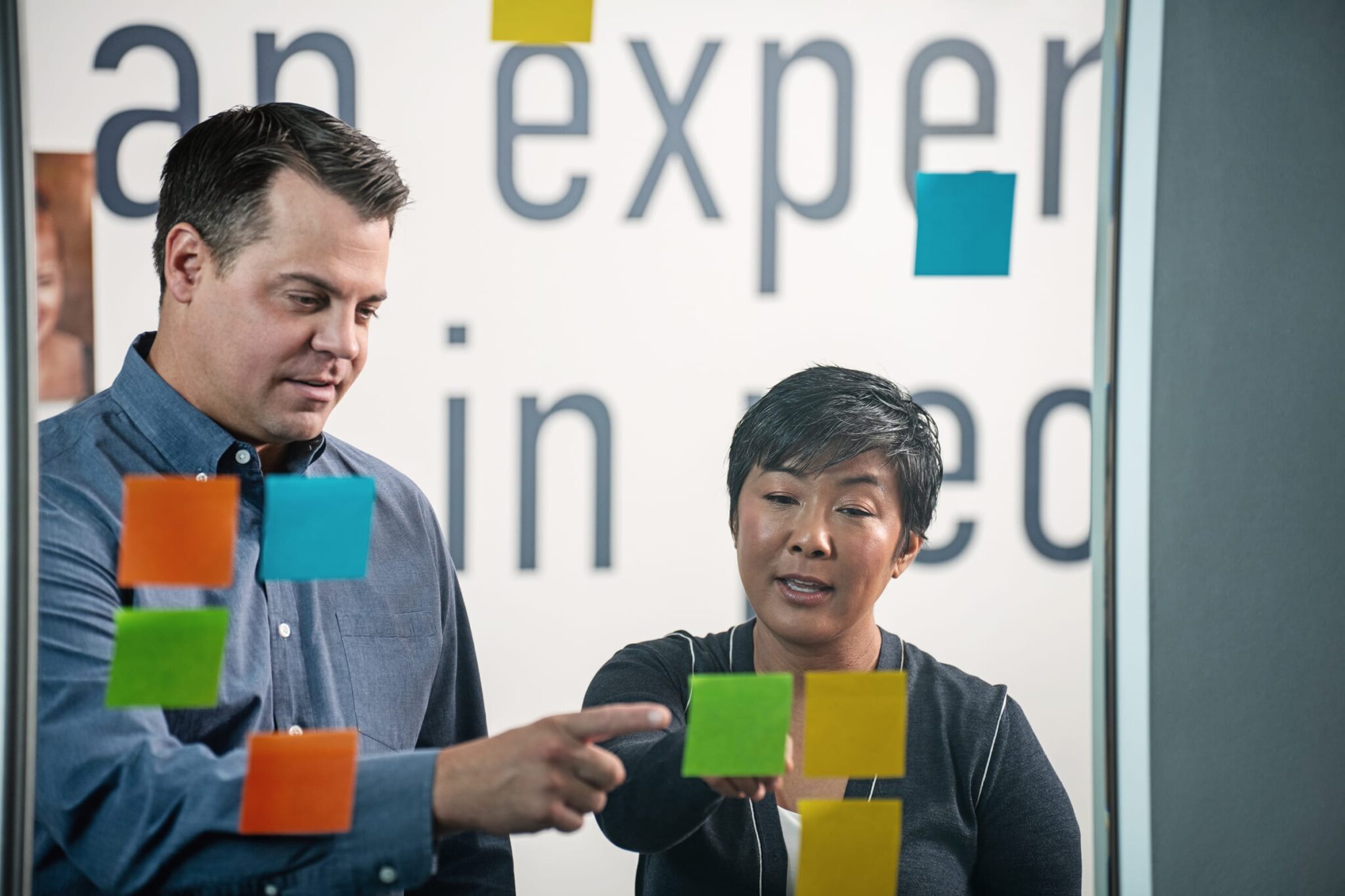 How can BAL Help? | Solutions | BAL Immigration Law