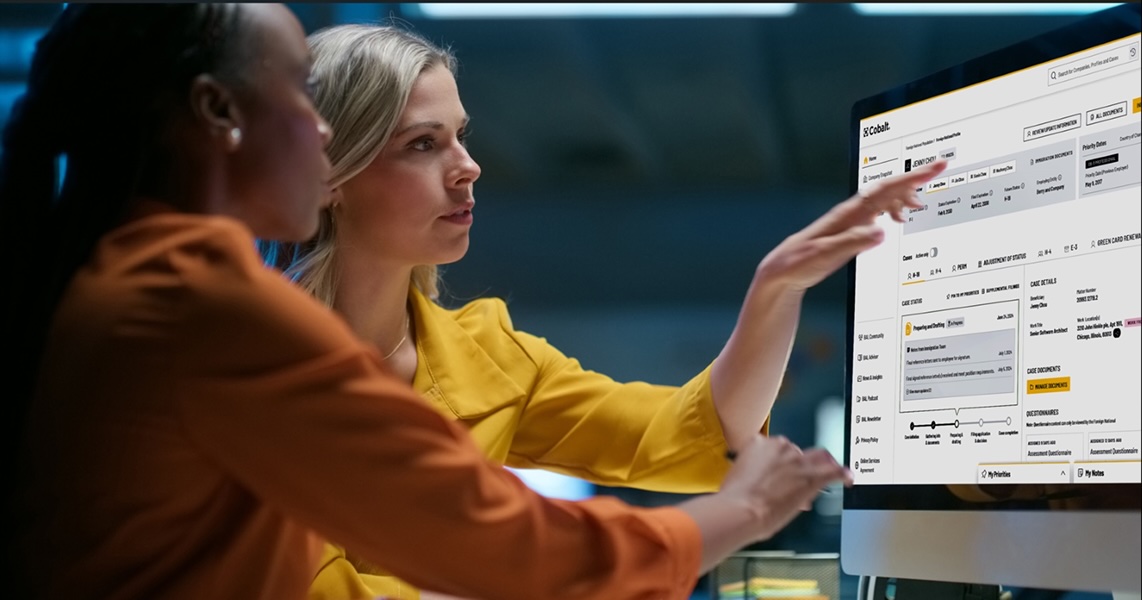 How can BAL Help? | Solutions | BAL Immigration Law